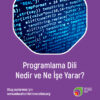Python Programlama Dili Nedir ve Ne İşe Yarar? - İnovasyon İçin Eğitim ...